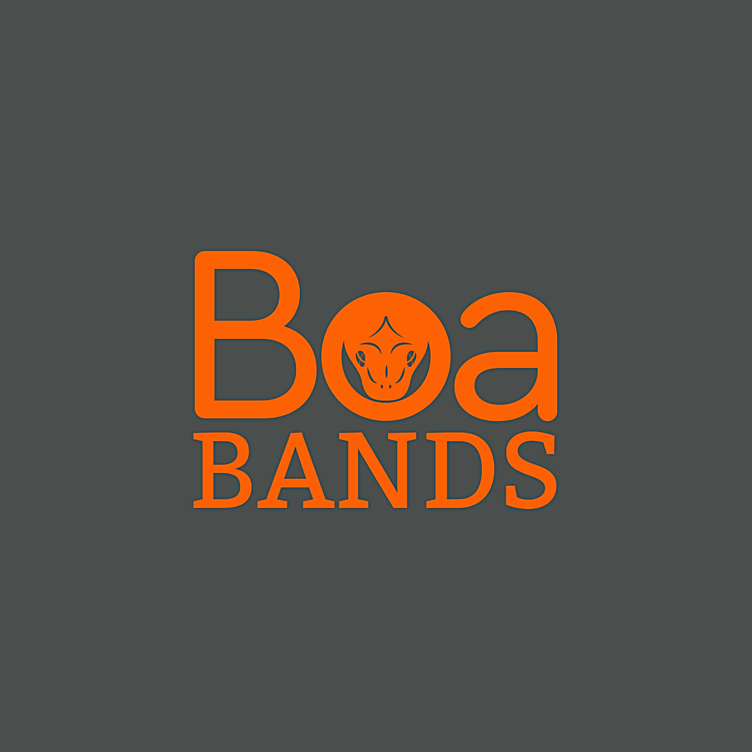 The Science Boa Bands the-science-boa-bands